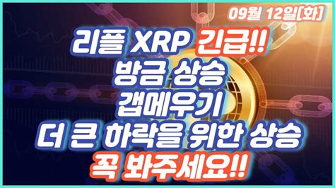 리플 Xrp 긴급 방금 상승 갭메우기 더 큰 하락을 위한 상승 꼭 봐주세요 Youtube
