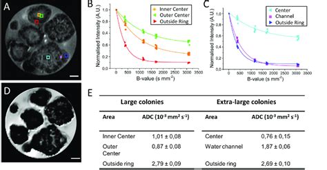 Diffusion Is Strongly Correlated To Colony Size Diffusion Measurements