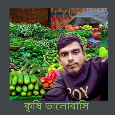 লিচু চাষ করে এই বছরে ৭৫ হাজার টাকা আয় আশা করছে লিচু চাষি লিচু চাষ করে এই বছরে ৭৫ হাজার টাকা