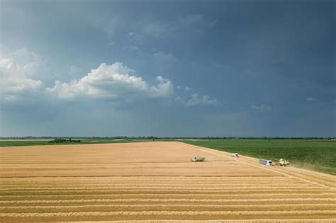 Premium Photo Combine Harvester Working On A Wheat Field