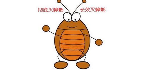 蟑螂怎么消灭最干净彻底的方法360新知