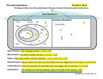 Classifying Numbers In The Real Number System Graphic Organizer And Activity In