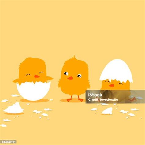 3 만화 아기 병아리 부 화 어린이 위한 귀여운 그림 0명에 대한 스톡 벡터 아트 및 기타 이미지 0명 귀여운 노랑