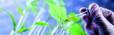 Naturwissenschaften IQSH Fachportal