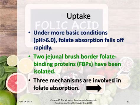 Absorption Transport And Metabolism Of Folate Ppsx