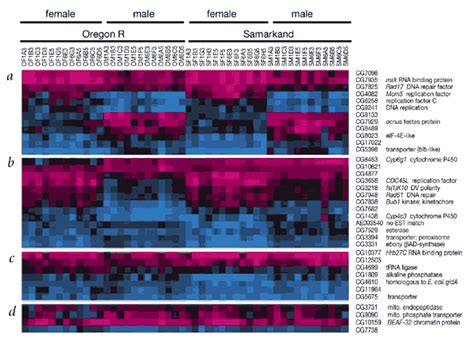 The Contributions Of Sex Genotype And Age To Transcriptional Variance