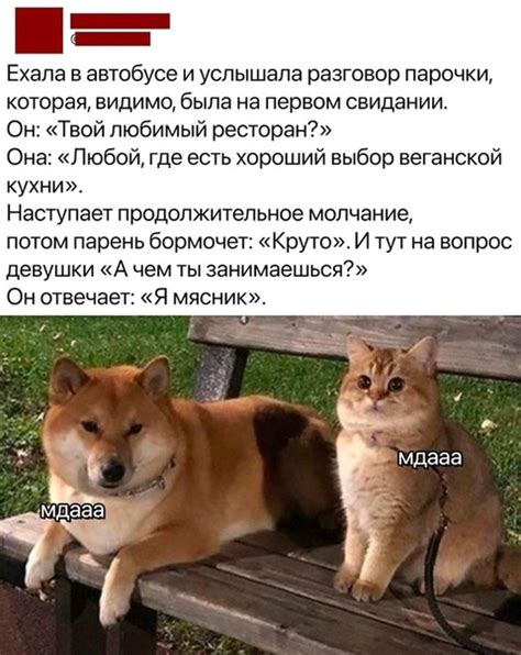 Вот и сказочке конец а кто слушал молодец 2025 Мой сладкий