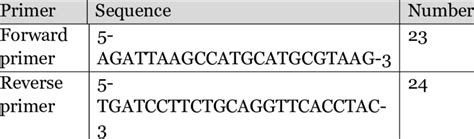 Oligonucleotide Primer Sequences Used For Pcr Amplification Of 18s Rrna