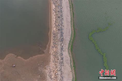 赣江江西南昌段进入枯水期新浪图片