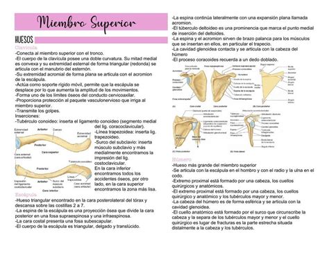 Miembro Superior Antonia Pihán Udocz