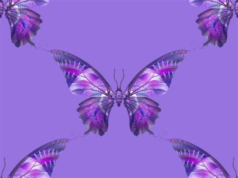 🔥 74 Purple Butterfly Wallpapers Wallpapersafari