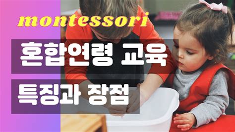 27 몬테소리 혼합연령 교육의 장점 Youtube