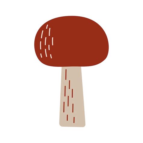 버섯 Boletus Edulis 식용 버섯 ⁇ 에 분리된 평평한 ⁇ 터 일러스트레이션 프리미엄 벡터