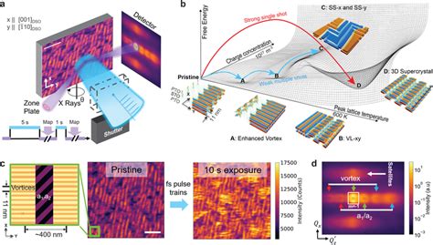 Optical Control Of Nanoscale Polar Structures A Synchrotron‐based In Download Scientific