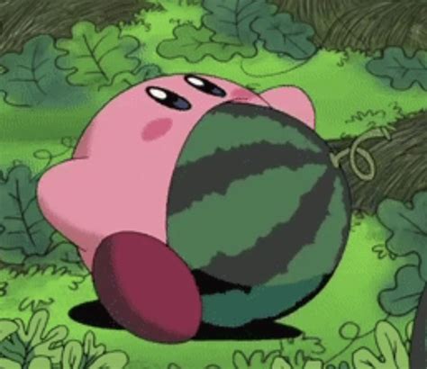 Kirby Melon Memes Imgflip