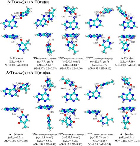 Geometrical Structures Of The Stationary Points On The Reaction