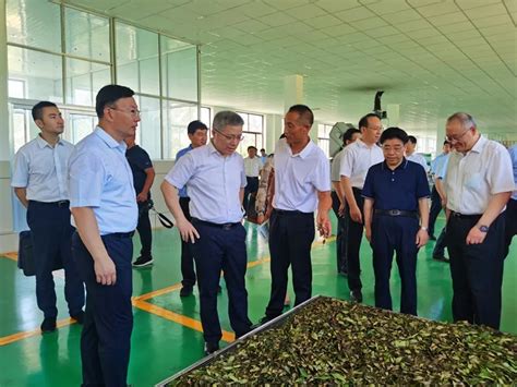 泰安市财政局 工作动态 财政部副部长朱忠明到泰安市调研农业农村工作