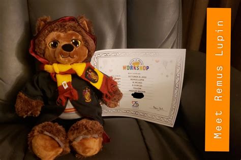 Meet Remus Lupin A Gryffindor Werewolf Rbuildabear