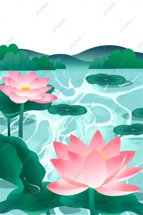 Lotus Pond Png Picture Lotus Pond Lotus Scenery Lotus Pond Lotus