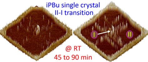 The Ii To I Phase Transition Of Isotactic Poly 1 Butene Single