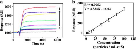 Spr Detection Sensorgrams A And The Calibration Plot B For Exosomes