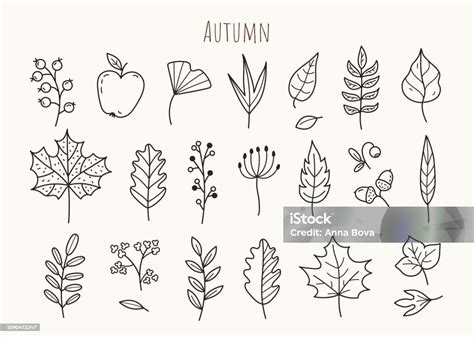 가을 낙서 세트입니다 손으로 그린 가을 요소 나뭇잎 열매 도토리 사과 꽃 손으로 그렸고 스케치했다 벡터 그림입니다 가을 단풍에 대한 스톡 벡터 아트 및 기타 이미지 Istock