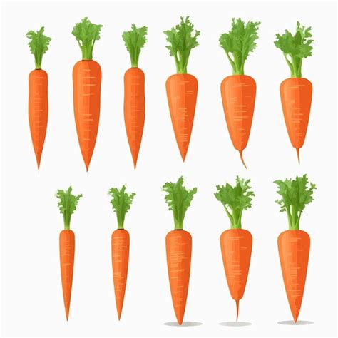 Premium Vector A Pack Of Retrostyle Carrot Stickers For Your