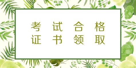 2021年湖北省中级主管护师证书如何领取？ 知乎
