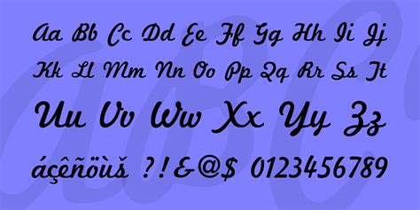 Marketing Script Font Family 1001 Fonts