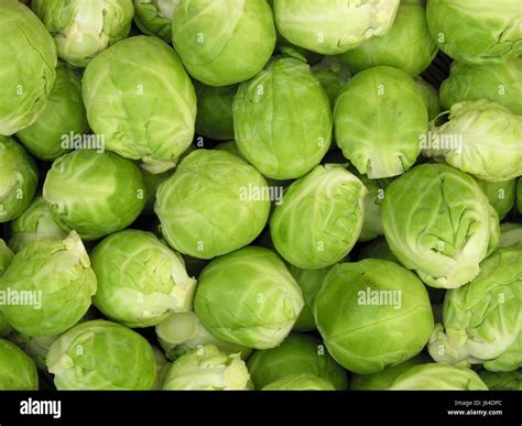 Of Cleaned Sprouts Stock Photo Alamy