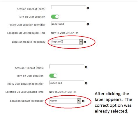 Internet Explorer Angularjs Select Option Not Displaying In Ie 10