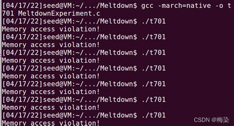 [seedlabs] meltdown and spectre attack labs spectre实验 梅染的博客 csdn博客