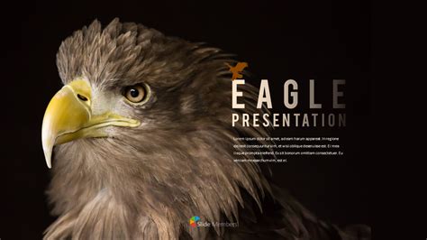 Eagle Powerpoint Presentation Templates