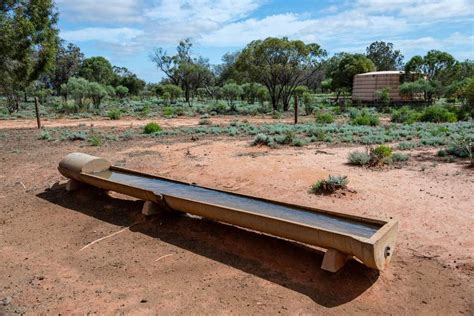 2543 Koomooloo Road Old Koomooloo Via Burra Or Morgan Sa 5417