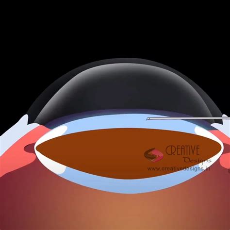 2D E Learning Animation Services At 2199 Set In Visakhapatnam ID 2853492620562