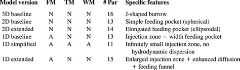 Overview Of The Different Models That Are Used In Simulations FM Flow