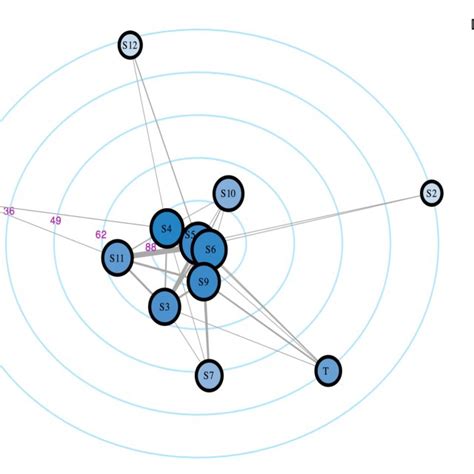 Visualization Of The Interactions Between The Participants Based On