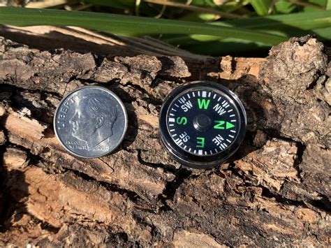 Mini Button Compass Red Eyed Hog