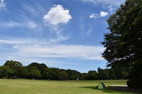 神奈川のバーベキュー場15選！手ぶら・子連れ・海や川など神奈川在住のアウトドア好きな筆者が紹介｜アニーお祝い体験マガジン