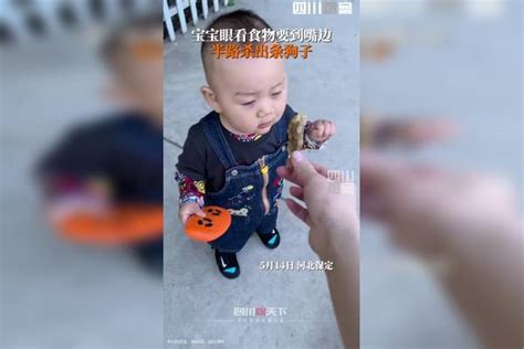你是真的狗！ 狗子抢肉肉推倒小主人 。孩子妈妈：狗狗和宝宝一起长大，平时很温顺，不会伤害孩子孩子狗狗宝宝