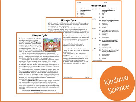 Nitrogen Cycle Reading Comprehension Passage And Questions Pdf