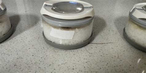 The Rice Experiment This Will Blow Your Mind