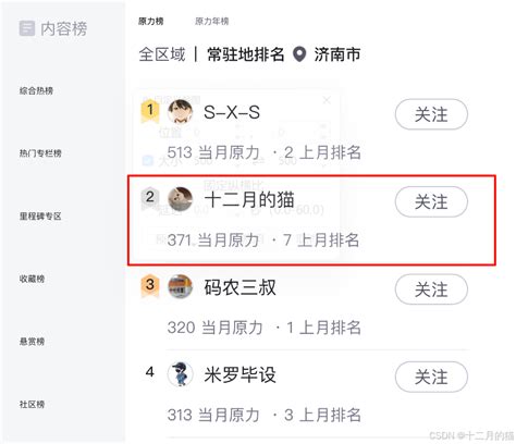 【2024年度总结】2024，一杯清茶，一缕余香，起起落落，十二月的猫总与你们在路上 Csdn博客
