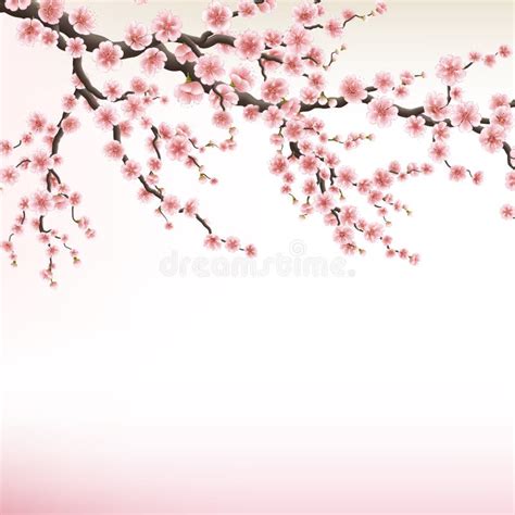 与佐仓分支的花卉背景 10 Eps 向量例证 插画 包括有 东部 开花 装饰 例证 背包 申请人 84061389