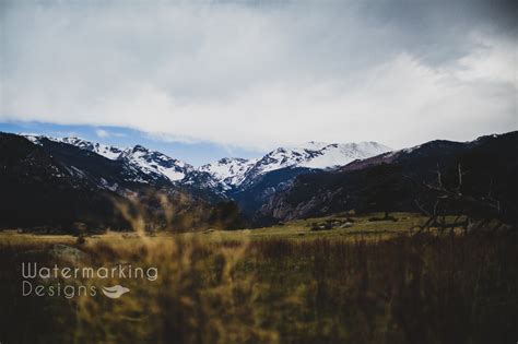 Watermark