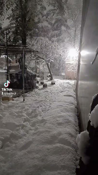 ბილიკები Youtube