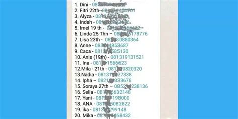 Siap Nikah Cari Jodoh Via Whatsapp 2024 Begini Caranya