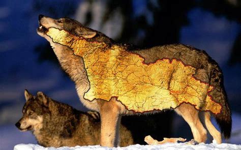 Დალი შენგელიას პოეზია