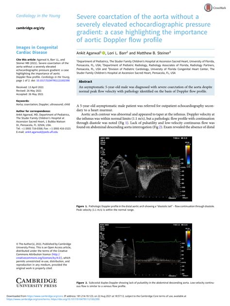 Pdf Severe Coarctation Of The Aorta Without A Severely Elevated