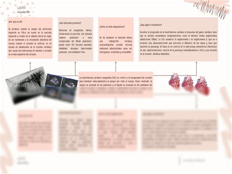 SOLUTION Mapa Conceptual De Insuficiencia Cardiaca Congestiva Ana